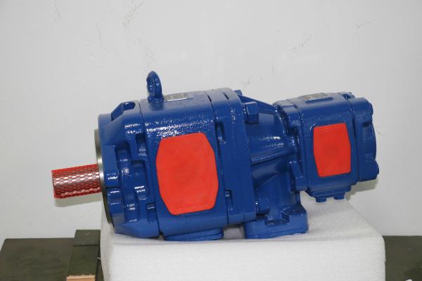 Quality FG22 Series Doule Internal Gear Pump 3000r/min For Plastic Machine FG22-100-※-01R-VSC-D for sale
