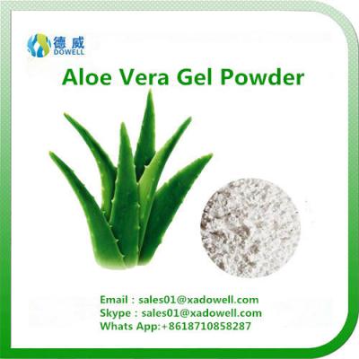 China Nutritional Ingredients Aloe Vera Gel Powder for sale