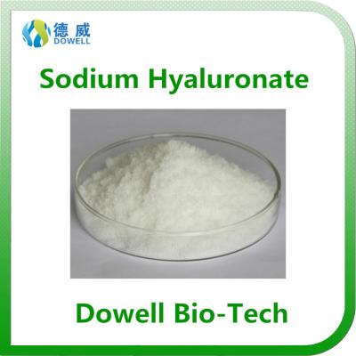 China Hot selling Food/Cosmetic Grade Sodium Hyaluronate powder for sale