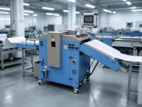 China Automatic Access Punching Machine For Various Metal Thicknesses And Types for sale
