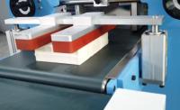China Automatic Access Punching Machine For Various Metal Thicknesses And Types for sale
