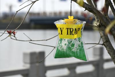 China Water-soluble Fly Trap for Safe and Effective Pest Management 55*44*43cm Carton Size for sale