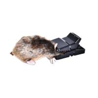 China High Sensitive Strong Plastic Mouse Trap For Pest Control And Eco-Friendly In 20 Square Meters Area for sale