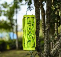 China Environmentally Pest Control Catch Insect Sticky Trap with Solid Glue Paper for sale