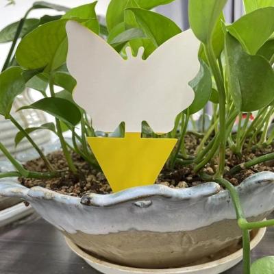 Cina Prezzi accessibili e piante giardino inserire colla gialla appiccicosa mosca insetto termite trappola killer in vendita