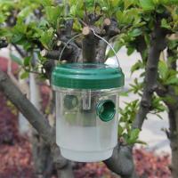 China Practical Solar Panel Wasp Bee Trap Bug Zapper Fly Cacher for Outdoor Pest Control for sale