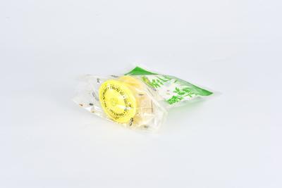 China Power Source None Sturdy Outdoor Hanging Fly Catcher Disposable Fly Fruit Trap Bag for sale