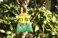 China 10 Pieces Regular Eco Material Fly Bag Trap for Farm Insect Eradication Solution for sale