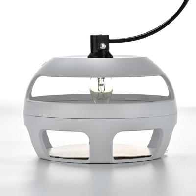 China Home Safe Killer Lamp Sticky Flea Trap Solid State No Fragrance for Market for sale
