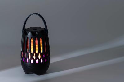 China 100-150 Square Meters Applicable Area Multi-functional Flame Mosquito Killer Lamp with Bluetooth Speaker and Night Light for sale