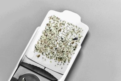 Cina Infissi di carta adesivi per insetti Trappo di insetti Fonte di alimentazione elettrica Soluzione naturale ed ecologica per gli insetti in vendita