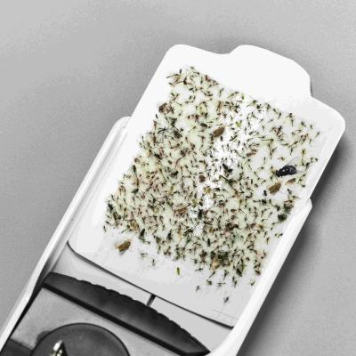 China 20-30m2 Cobertura Lâmpada anti-mosquito plug-in com almofada de cola pegajosa à venda