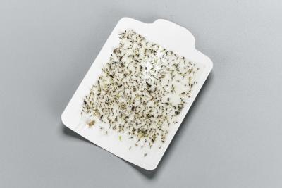 Cina 20-30m2 Copertura Lampada anti zanzara plug-in con colla adesiva naturale e ecologica in vendita