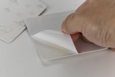 Cina Lampada per zanzare adesiva plug-in copertura 20-30m2 60 pezzi e bassa manutenzione in vendita