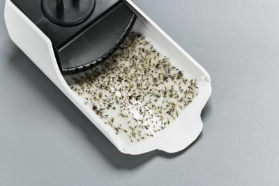 Cina Lampada per zanzare adesiva plug-in copertura 20-30m2 60 pezzi e bassa manutenzione in vendita