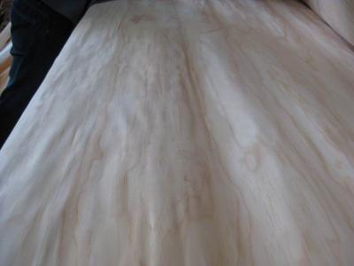China Rotary Cut Radiata Pine Wood Veneer Sheet, Face/Back Grade for sale