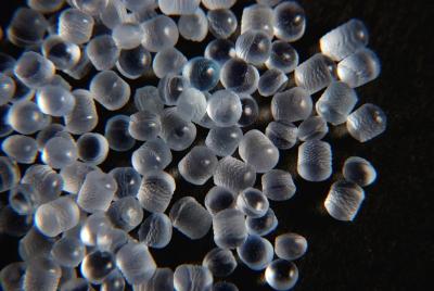 Cina Il TPE molle eccellente dei granelli traslucidi trasparenti del TPE appallottola l'elastomero termoplastico di SEBS in vendita