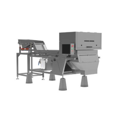 China 300mm To 1800mm Belt Color Sorter Fresh Vegetable Grading Machine for sale
