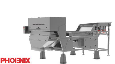 China AI Powered Belt Color Sorter Vegetable & Fruit Sorting Machine for sale