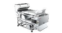 China PHOENIX‑AI Double‑Layer Intelligent Sorter for sale