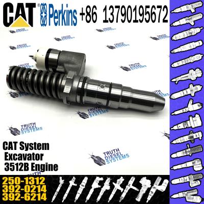 Chine injecteur de carburant commun 250-1312 de rail 2501312 pour l'injecteur de moteur du chat 793C 793D à vendre