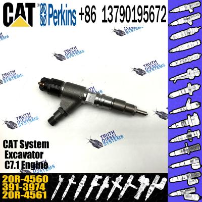 Chine Competitivement injecteur de carburant 371-3974 20R-4560 3713974 20R4560 avec plus de modèles pour le CAT à vendre