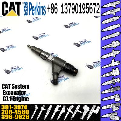 Chine 391-3974 injecteur de carburant 0445120348 d'excavatrice de l'injecteur de carburant 20R-4560 de moteur diesel pour le CAT à vendre