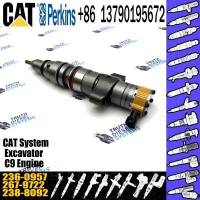 China Caterpillar C9 Engine 236 0957 Truck Injector Pump 2544330 Fuel Engine Injector 236-0957 For CAT system for sale