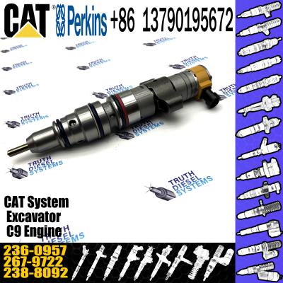China Caterpillar C9 Engine 236 0957 Truck Injector Pump 2544330 Fuel Engine Injector 236-0957 For CAT system for sale