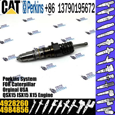 China 4954434 inyectores de carburante 4928260PX 4062569RX 4928260 de Cummins 4062569 4062569NX en venta