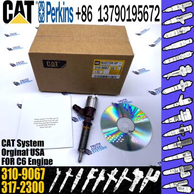 Cina Iniettore di combustibile comune del CAT C6.6 312D della ferrovia 310-9067 306-9390 320-0655 in vendita