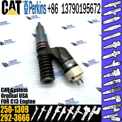 China CAT Fuel Injector Assembly 249-0705 249-0713 249-0707 249-0708 249-0712 250-1309 253-0608 259-5409 292-3666 10R-1305 for sale