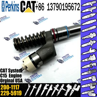 Cina Iniettore di carburante per motore 229-5919 200-1117 10R-7229 10R-3264 per motori CAT C-15 C16 in vendita