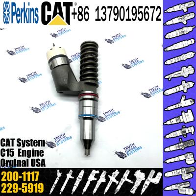 Cina Iniettore di carburante per motore 229-5919 200-1117 10R-7229 10R-3264 per motori CAT C-15 C16 in vendita