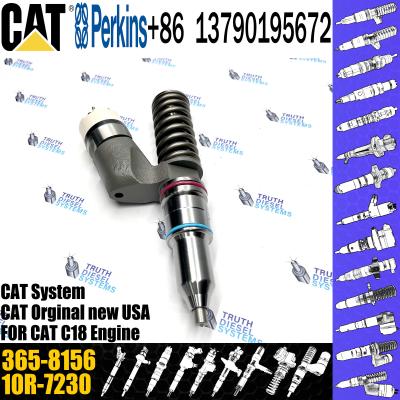 Cina iniettore common rail 10R-9787 365-8156 253-0618 10R-0724 295-9085 211-3028 374-0705 per escavatore Caterpillar C18 in vendita
