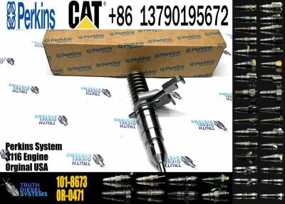 Cina Parti per escavatori 3116 Iniezione motore 0R-8684 0R-8682 0R-8479 101-8673 102-7038 iniettore di carburante Per escavatori in vendita