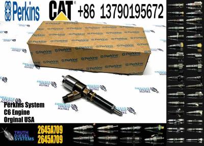 중국 320-0688 Fuel Common Rail Injector 10R-7939 2645A747 판매용