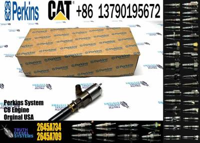 中国 New Common Rail Injector 306-9380 2645A734 306-9390 10R-7674 310-9067 10R-7668 For Diesel Engine CAT 販売のため