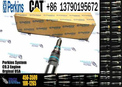 중국 Engine Fuel Injector Common Rail Injector 173-9379 456-3509 138-8756 456-3589 155-1819 324-5467for Cat 336E C9.3 판매용