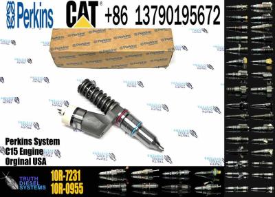 China 10R-0958 10R-8502 10R-7231 211-3025 Caterpillar C15 Spritzinjektor zu verkaufen