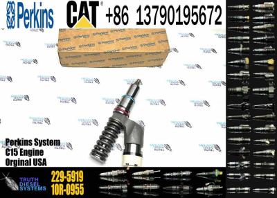 Chine Parties pour excavatrice 229-5919 Injecteur de carburant 229-5919 10R-1000 10R-1000 pour la série CAT C18 C15 C12 C13 3406E à vendre