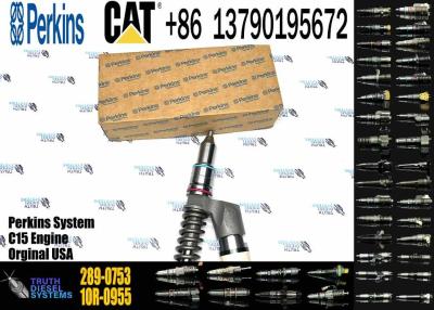 Chine Injecteur de carburant 289-0753 2890753 Injecteur de carburant pour moteur diesel 20R-5036 20R5036 pour CAT C15 C18 C11 C10 3406E à vendre