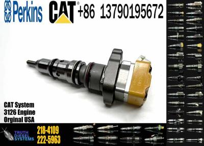Cina Iniettore diesel comune 218-4109 Iniettore carburante 218-4109 10R8999 in vendita
