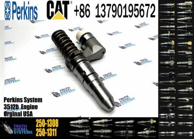 China New 250-1312 250-1311 250-1308 250-1306 250-1304 250-1303 Diesel Injector for Auto Part Car Common Rail Fuel for sale