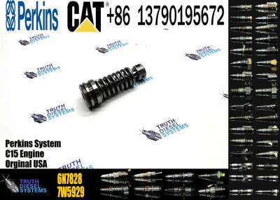 China High Quality Fuel Injection Pump Plunger 9H5797 1W6541 7W5929 6N7828 7W6929 HRCA4P9830 for Excavator for sale