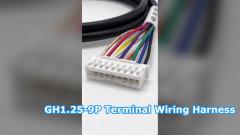 GH1.25-9P Terminal Wiring Harness