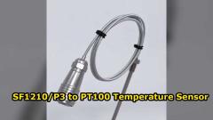 SF1210/P3 to PT100 Temperature Sensor