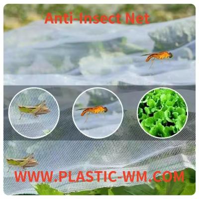 China Agricultural Greenhouse 40Mesh-100Mesh Mosquito Netting Anti-Insect  Net en venta