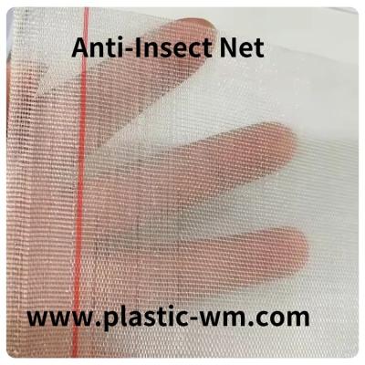 China Agricultural Greenhouse 40Mesh-100Mesh Mosquito Netting Anti-Insect  Net en venta