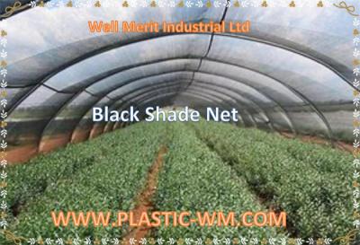 Chine En cultivant la couleur noire Sun ombragez le filet en plastique net d'ombrage de tissu d'ombre à vendre
